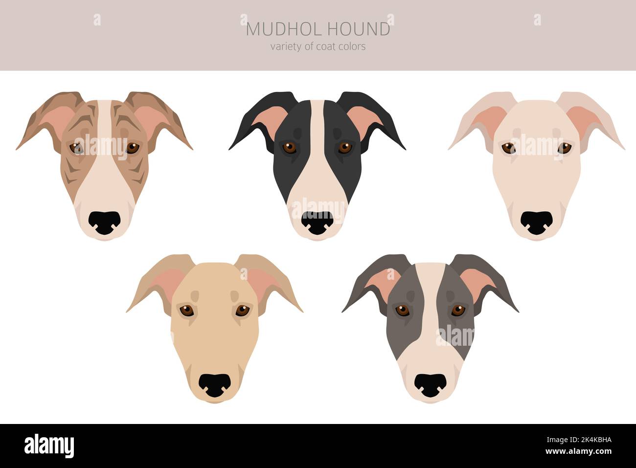 Mudhol hound clipart. All coat colors set.; All dog breeds ...