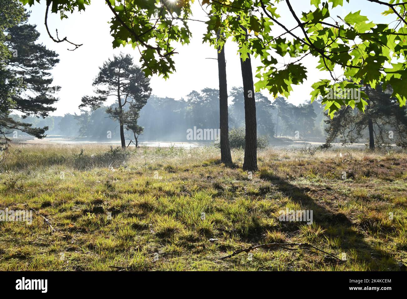 Licht und landschaft hi-res stock photography and images - Alamy