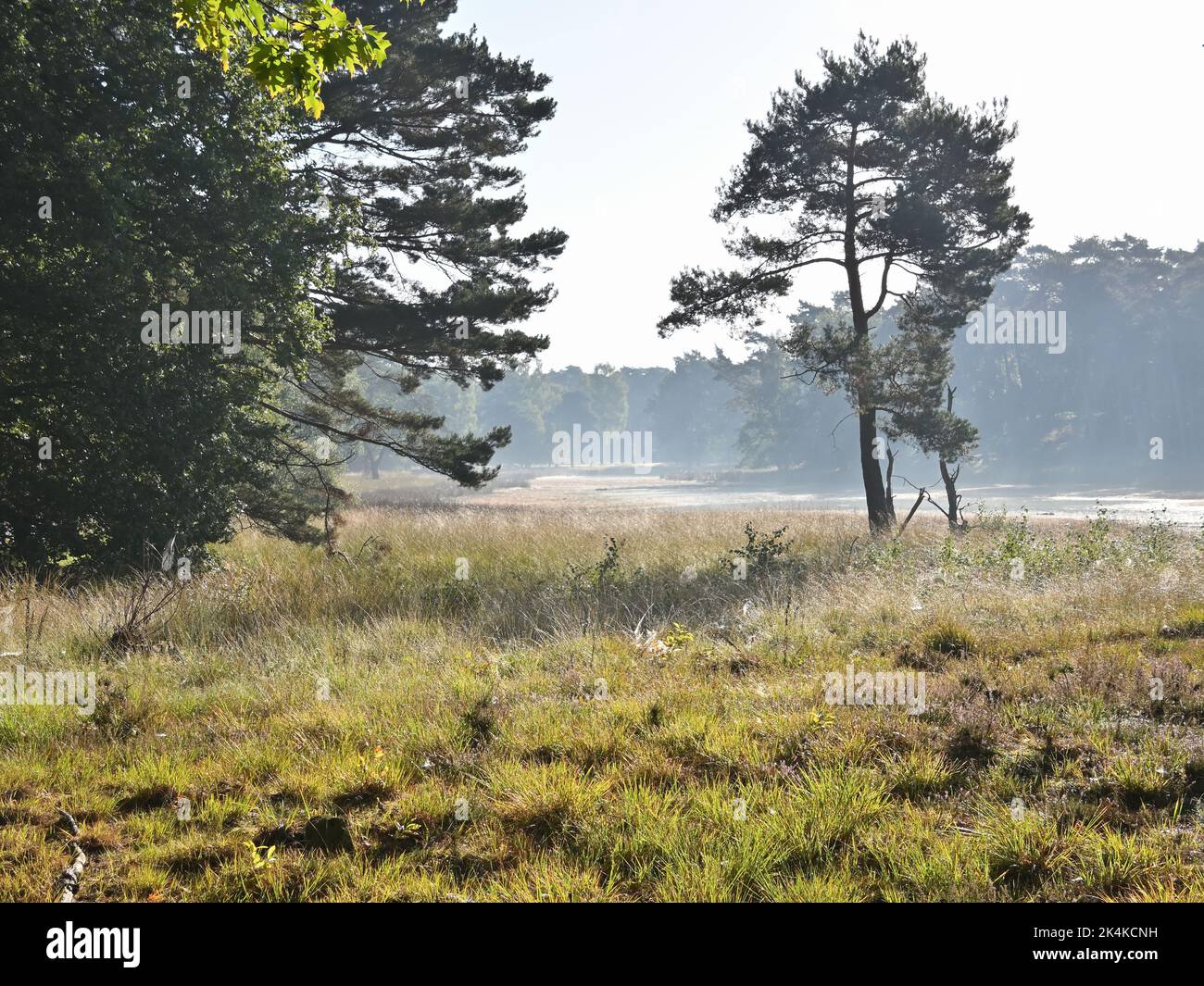 Licht und landschaft hi-res stock photography and images - Alamy