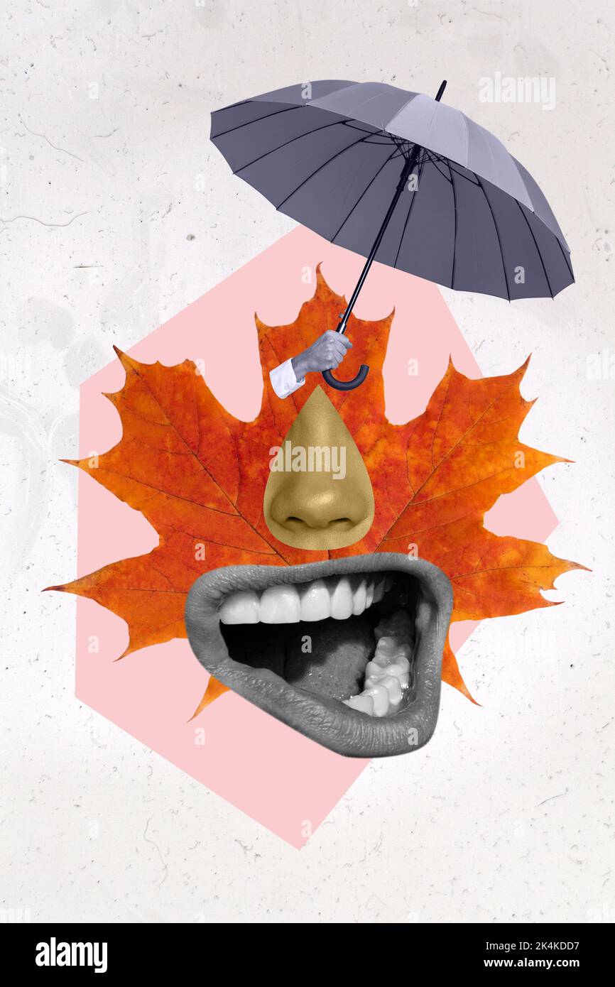 Creative trend collage of big maple leaf woman nose mouth grimace face ...
