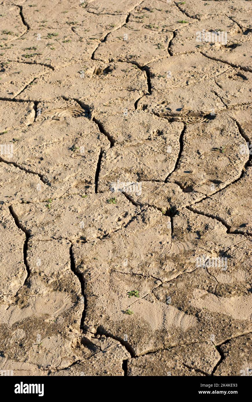 drought cracked earth due to lack of water climate change Stock Photo ...