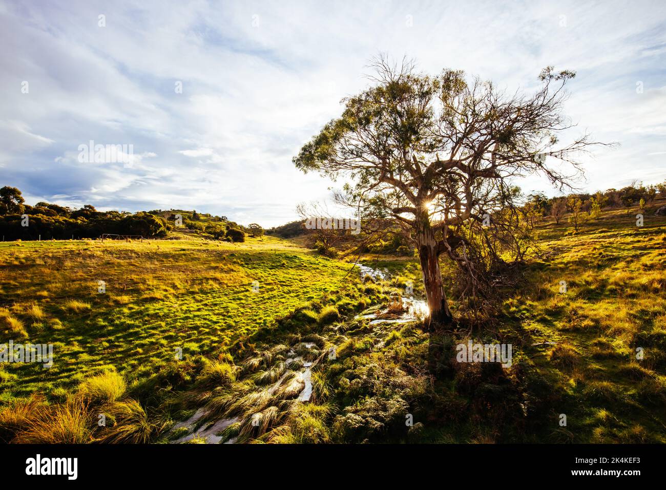 Spiky Bridge in Tasmania Australia Stock Photo - Alamy