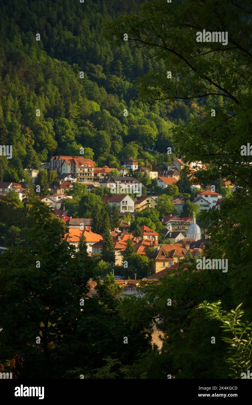 A beautiful view of buildings surrounded by green trees in Brasov ...