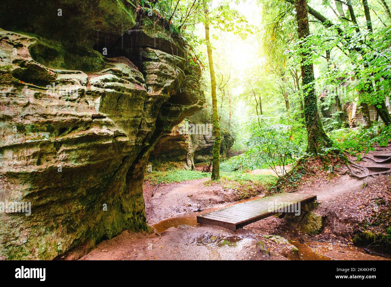 Mullerthal trail in Luxembourg between Echternach and Berdorf, hiking ...