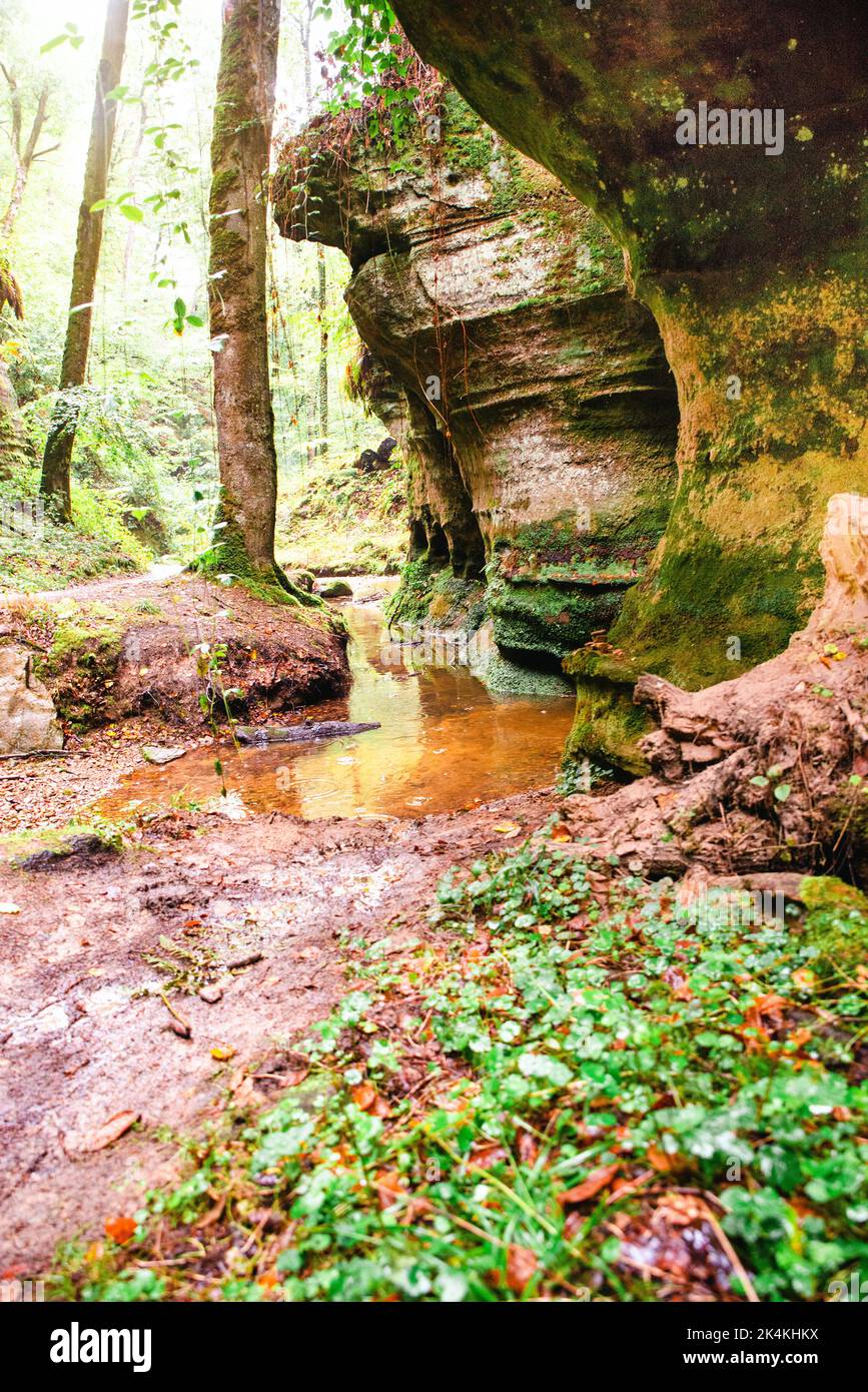 Mullerthal trail in Luxembourg between Echternach and Berdorf, hiking ...