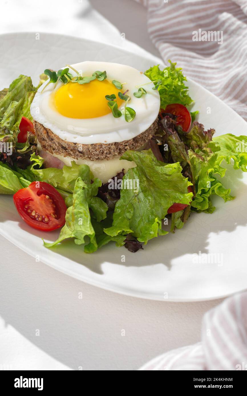 Croque madam sandwich with cheese, ham and egg on a plate on a light ...