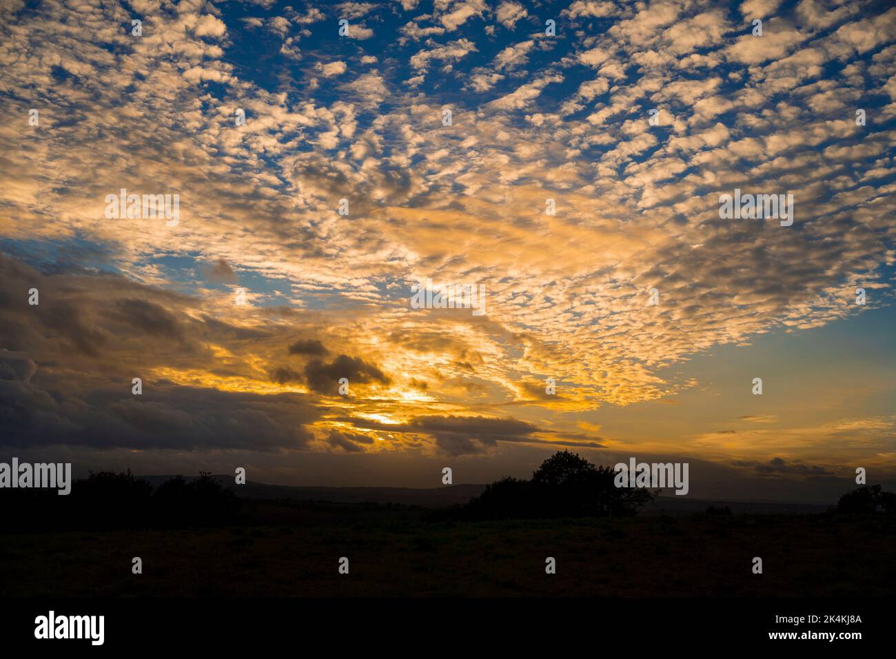 Rural UK landscape looking up to a mackerel skyscape with dramatic ...