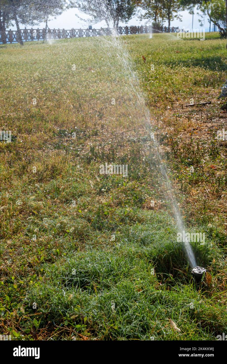 Jet of water from sprinkler beats up motion blur. Vertical photo Stock ...