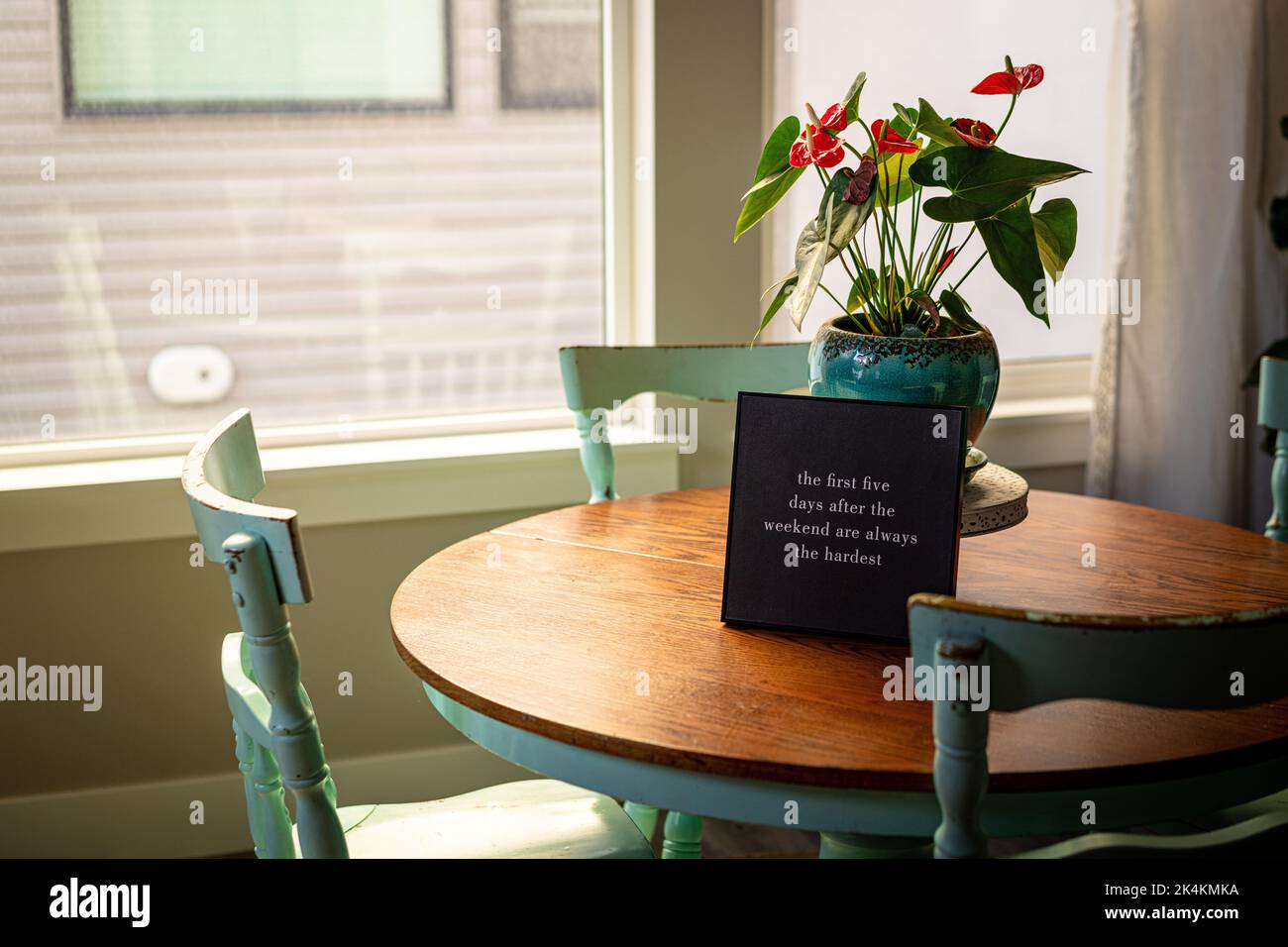 The view of a plant and quotation board over the kitchen table by the ...