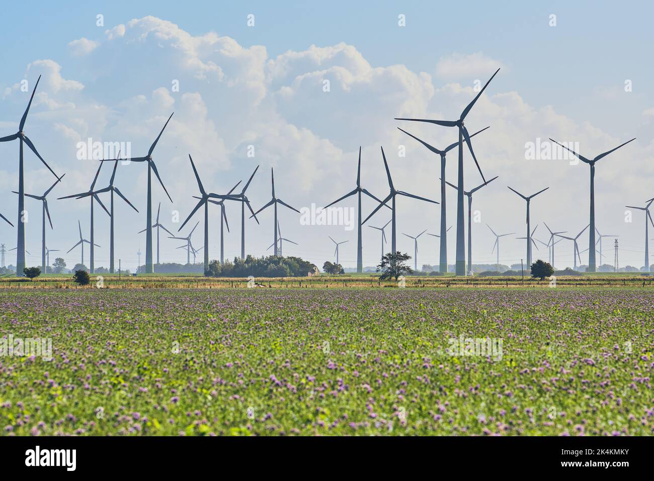 Renewable energy wind park in schleswig-holstein. High quality photo ...
