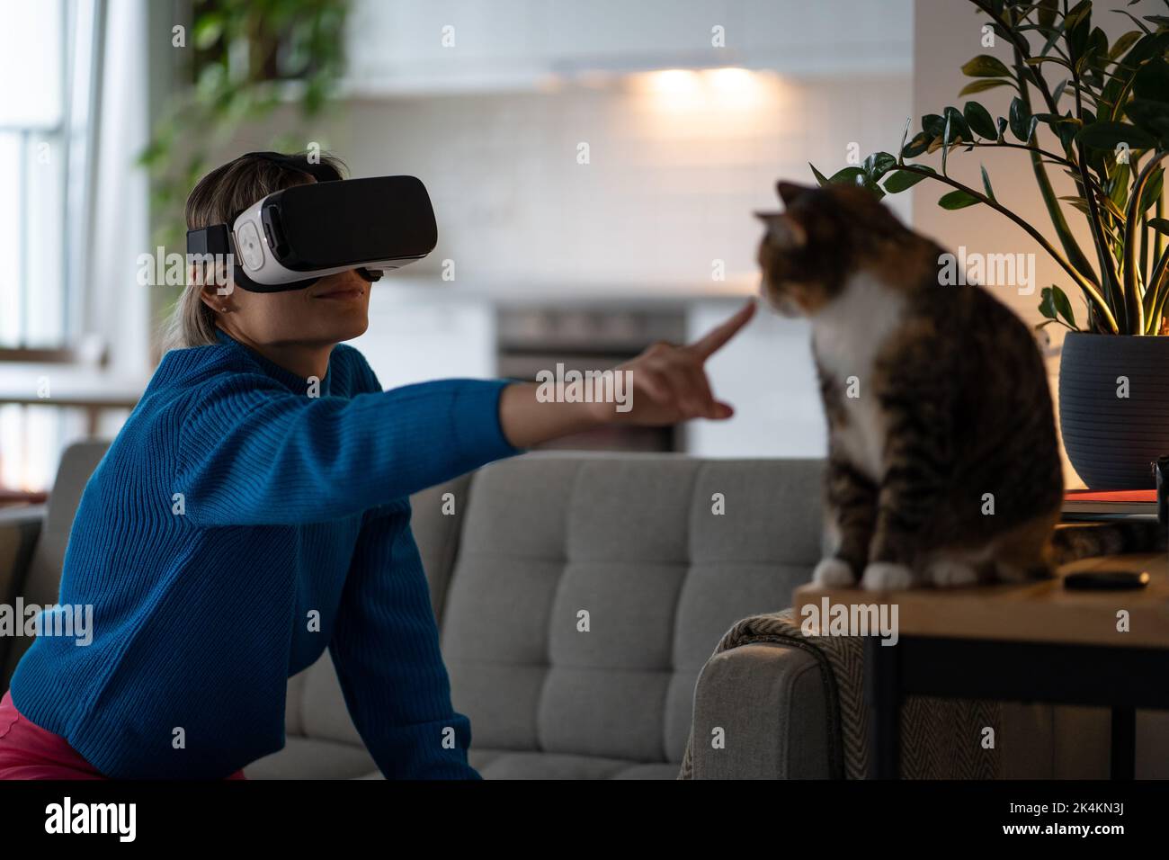 Positive casual woman owner in modern VR headset pulls hand to cat sits ...