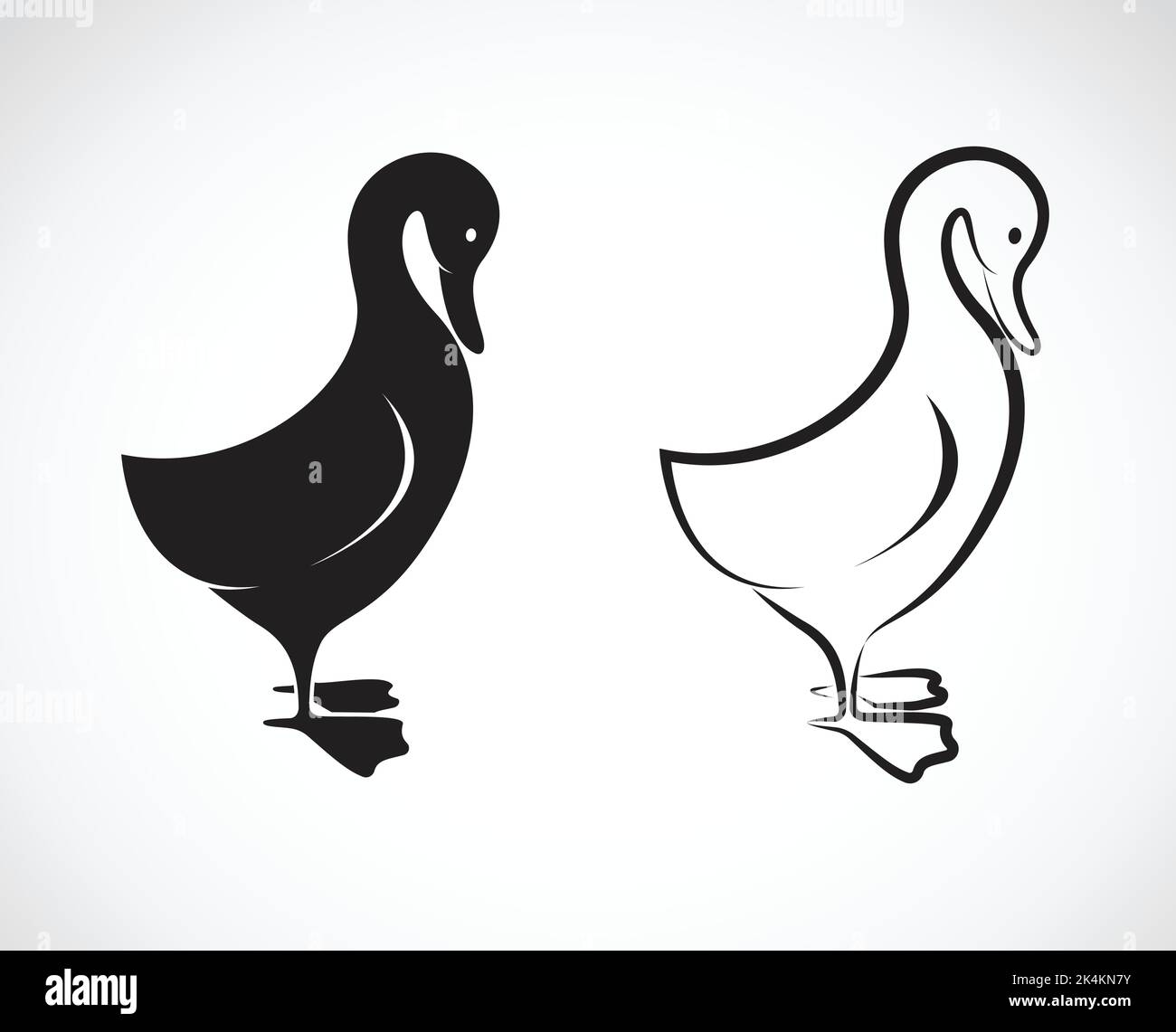 Vector image of a duck design on white background. Easy editable ...