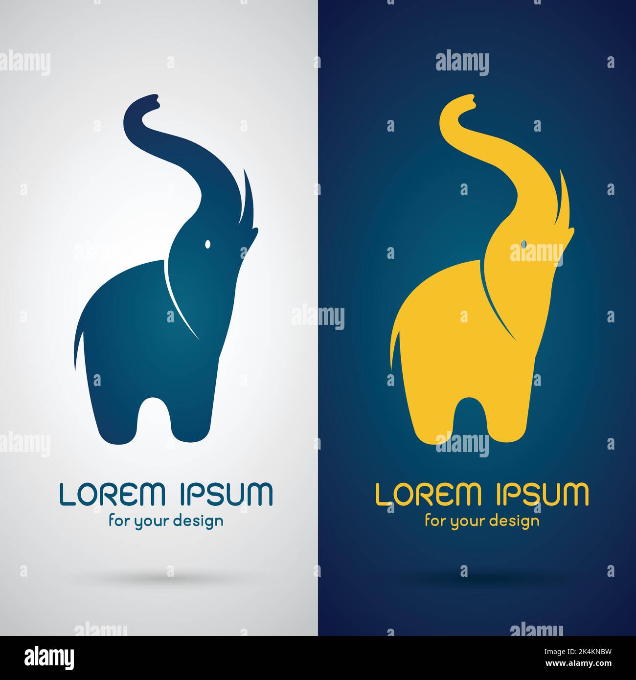 Vector image of an elephant design on white background and blue ...