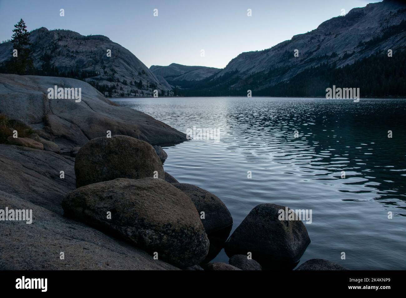 Tenaya Lake is calm during fall mornings, just one of many sights of ...