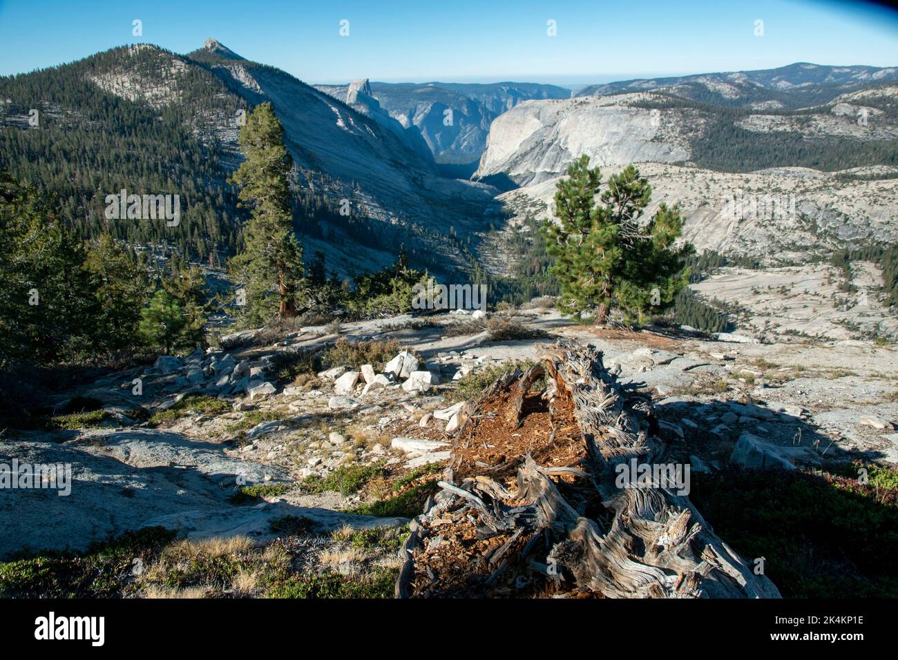 The trail to Clouds Rest, a mountain peak in Yosemite National Park, CA ...