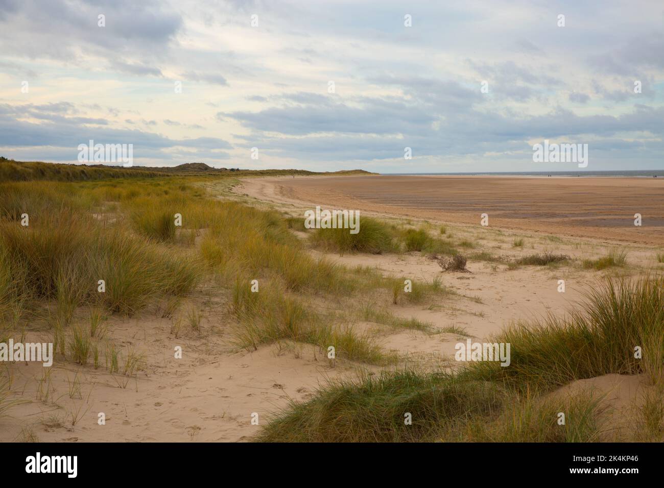 Sand dunes at Holkham beech on the North Norfolk coast Stock Photo - Alamy