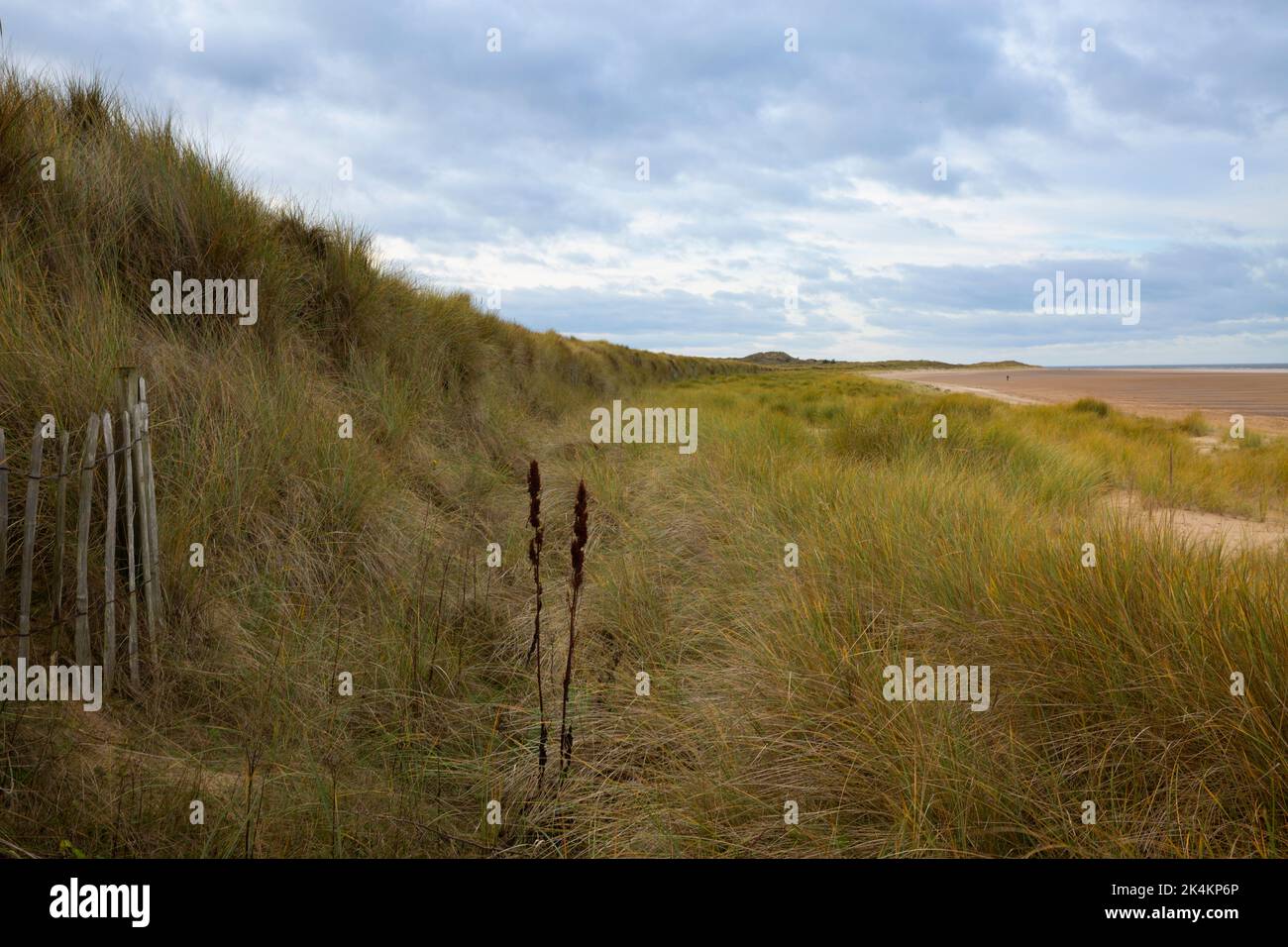 Norfolk erosion dunes hi-res stock photography and images - Alamy