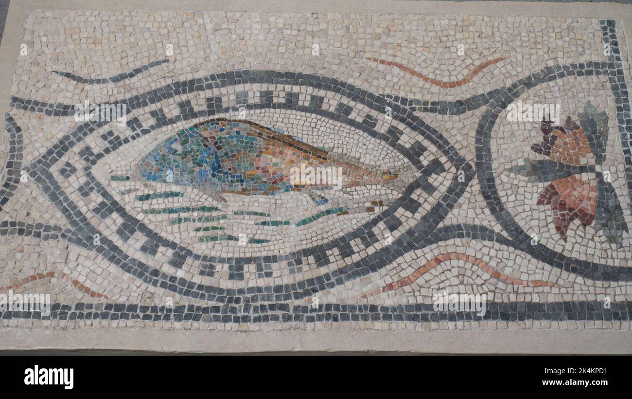 Roman fish mosaic hi-res stock photography and images - Alamy