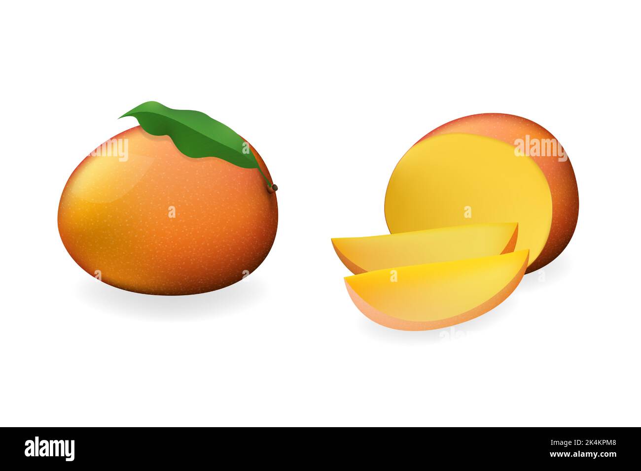 Ripe orange mangoes, whole, half and sliced fruit Stock Vector Image ...