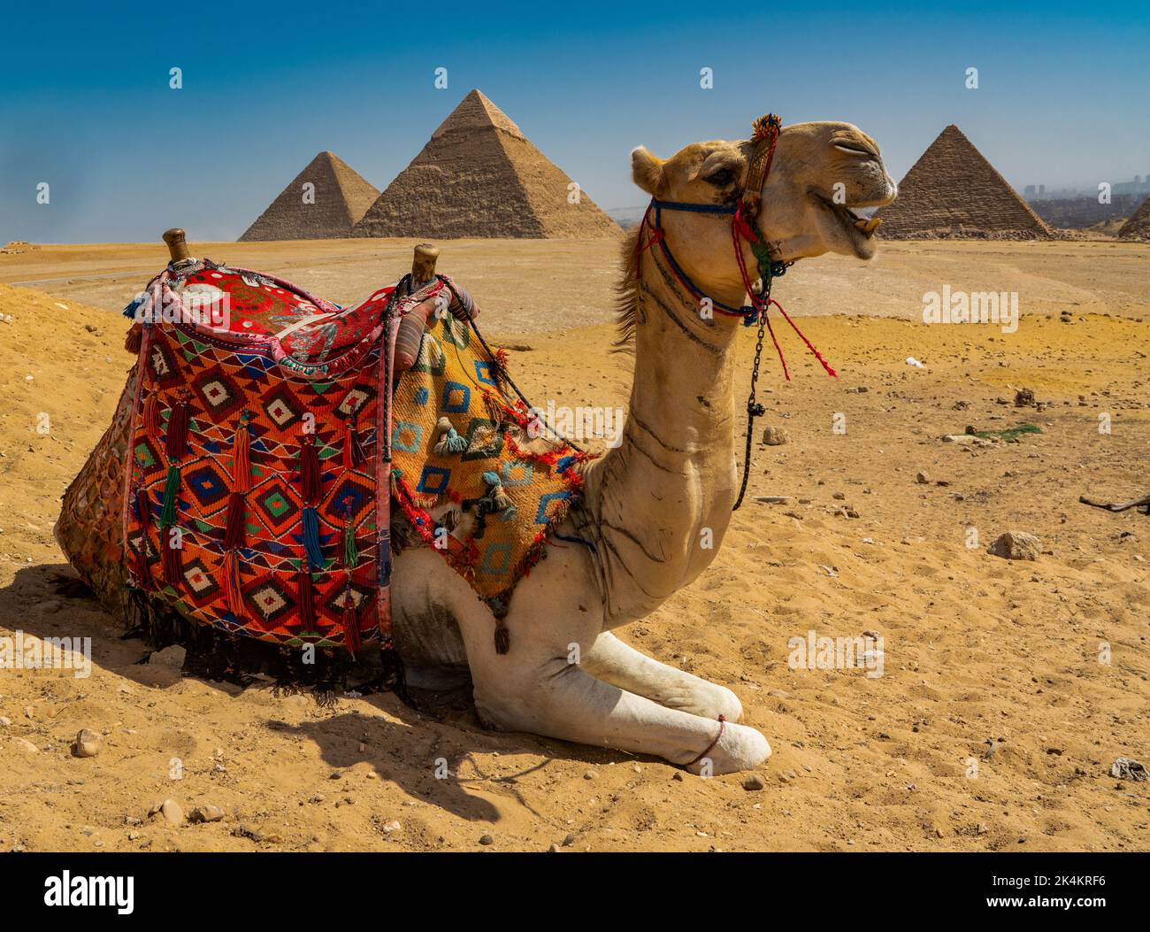Cairo egypt taxi hi-res stock photography and images - Alamy