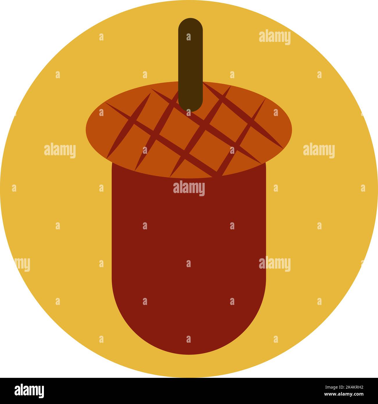 Acorn growth vector vectors hi-res stock photography and images - Alamy