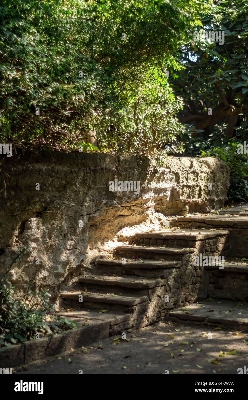 old abandoned building, nature grows back brick Stock Photo - Alamy