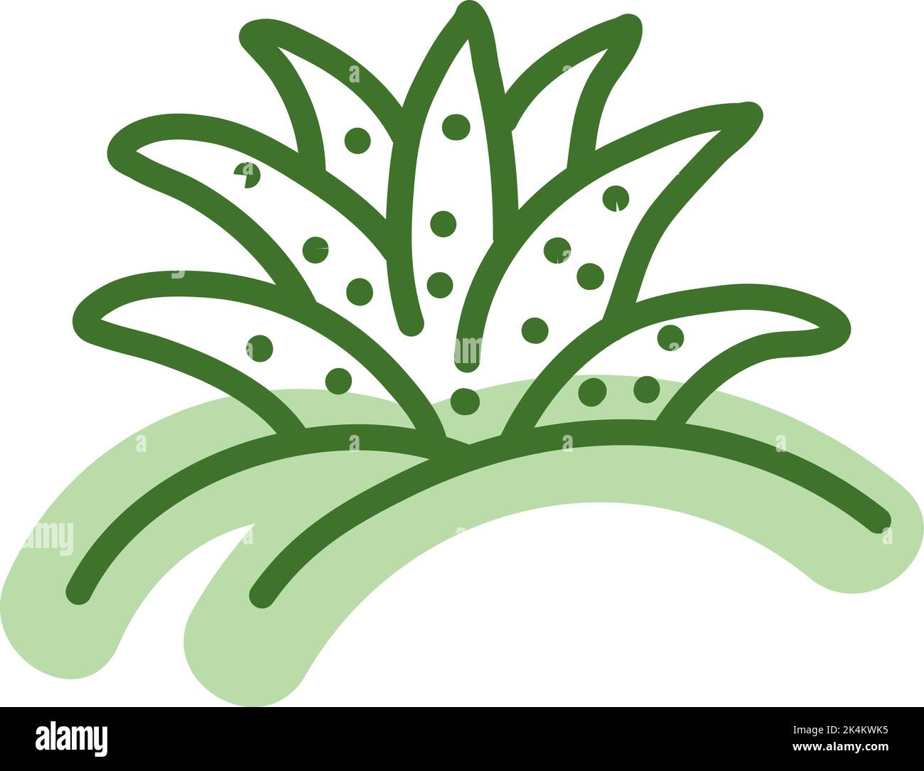 Aloe with short leaves, illustration, vector on a white background ...