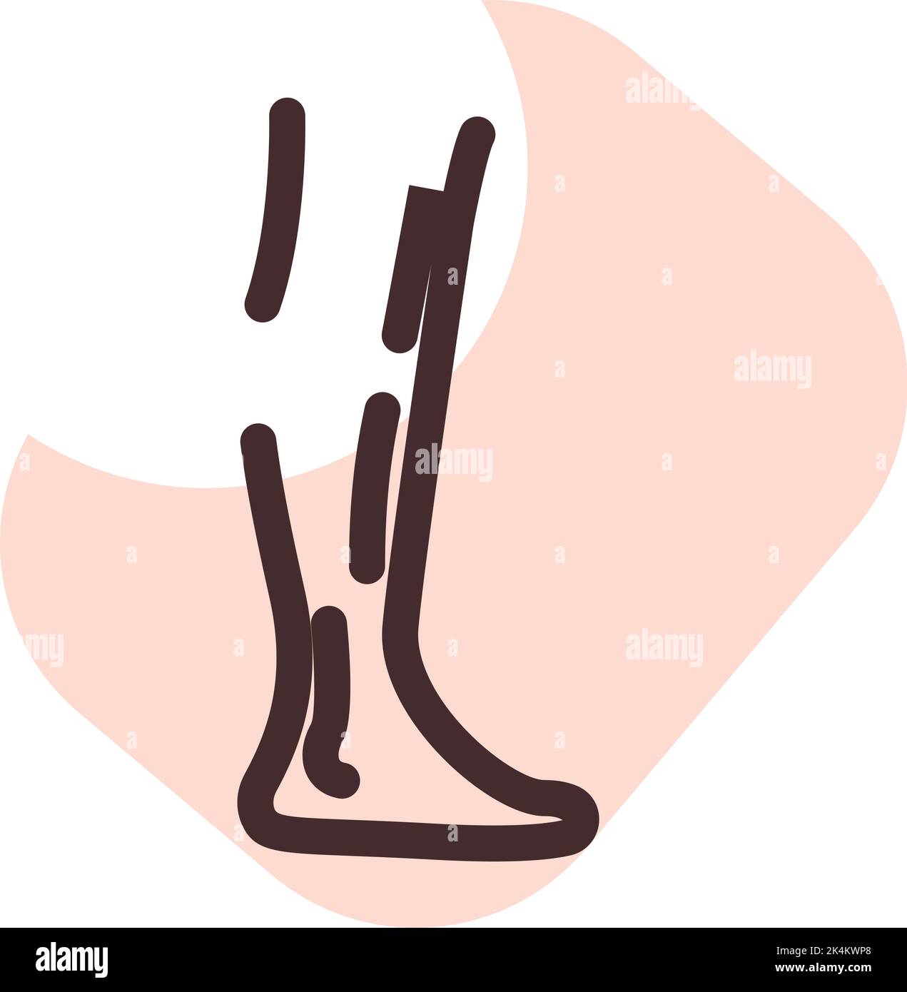 Human shin bone drawing hi-res stock photography and images - Alamy