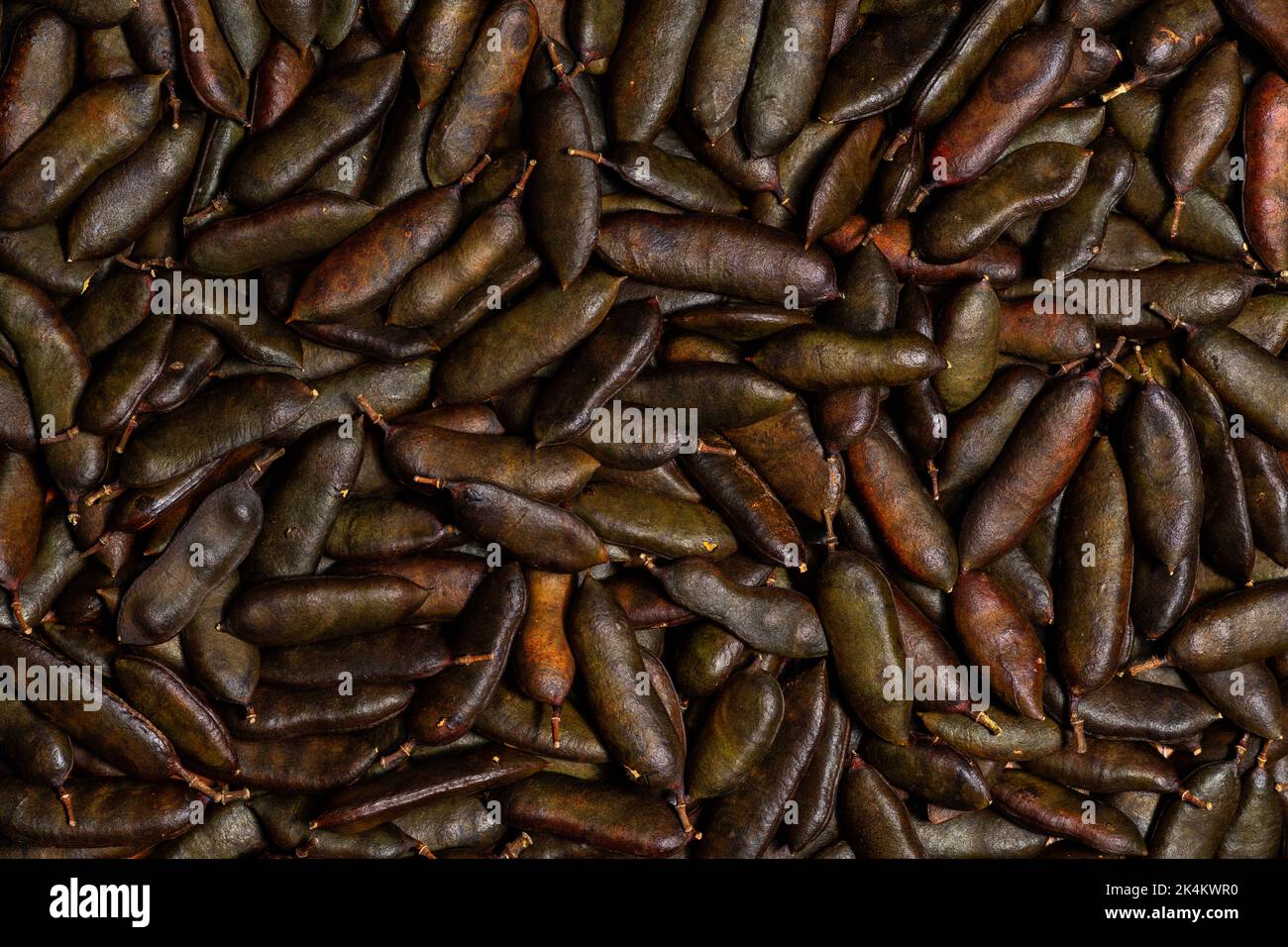 Textured seed pods hi-res stock photography and images - Alamy