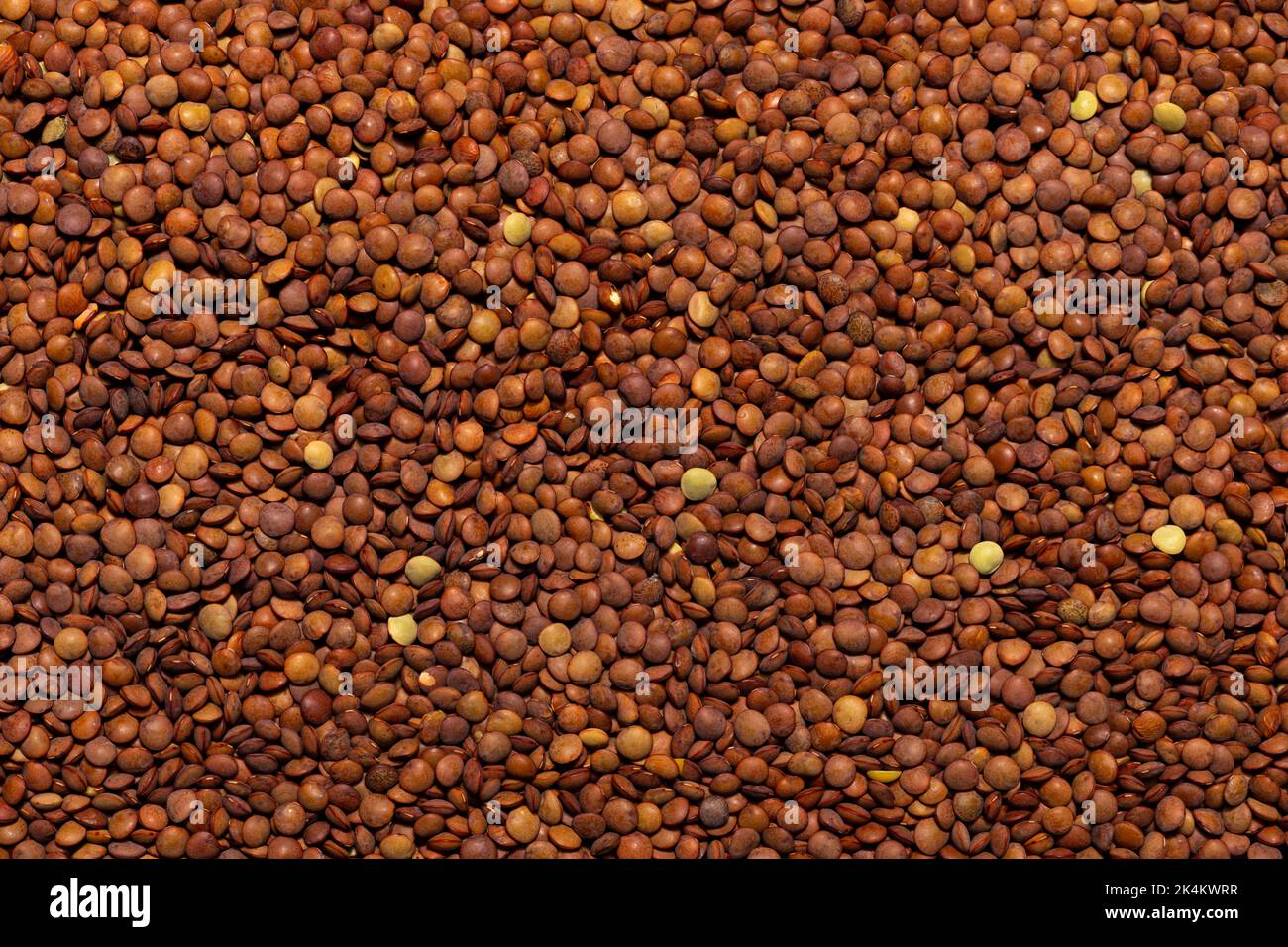 Brown lentil background texture Stock Photo - Alamy