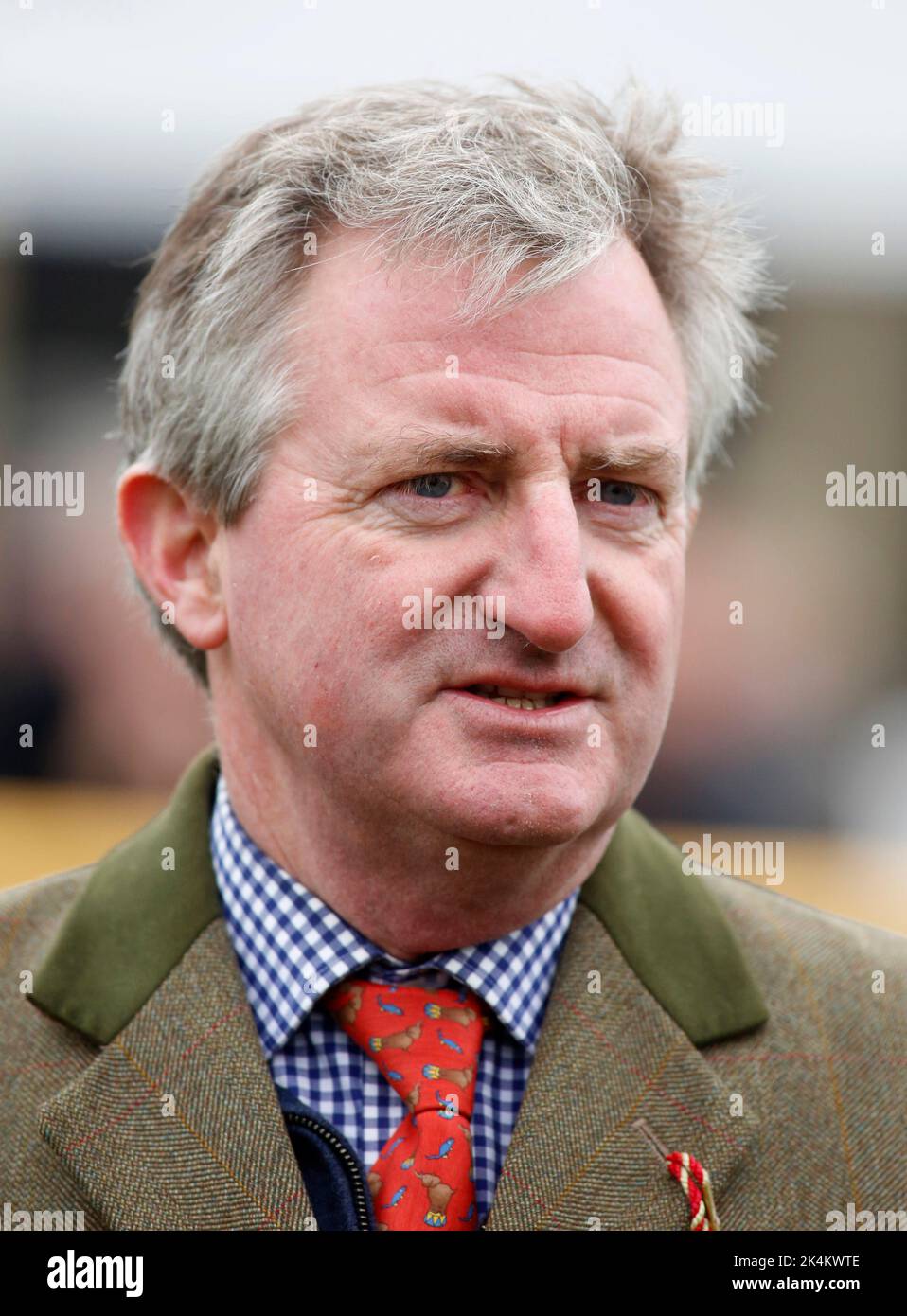 Appointed one horse hi-res stock photography and images - Alamy