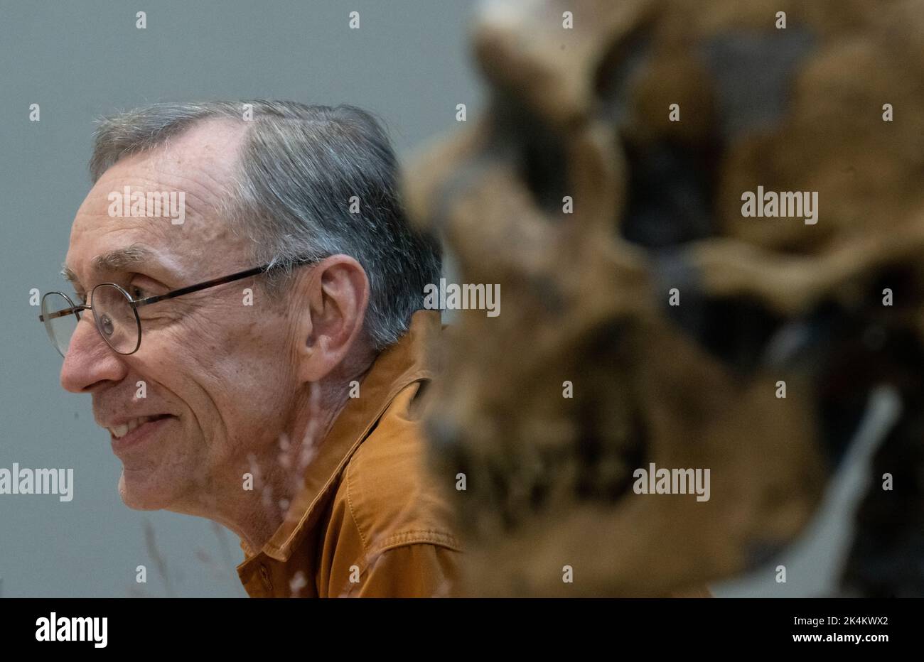 Anthropoligy hi-res stock photography and images - Alamy