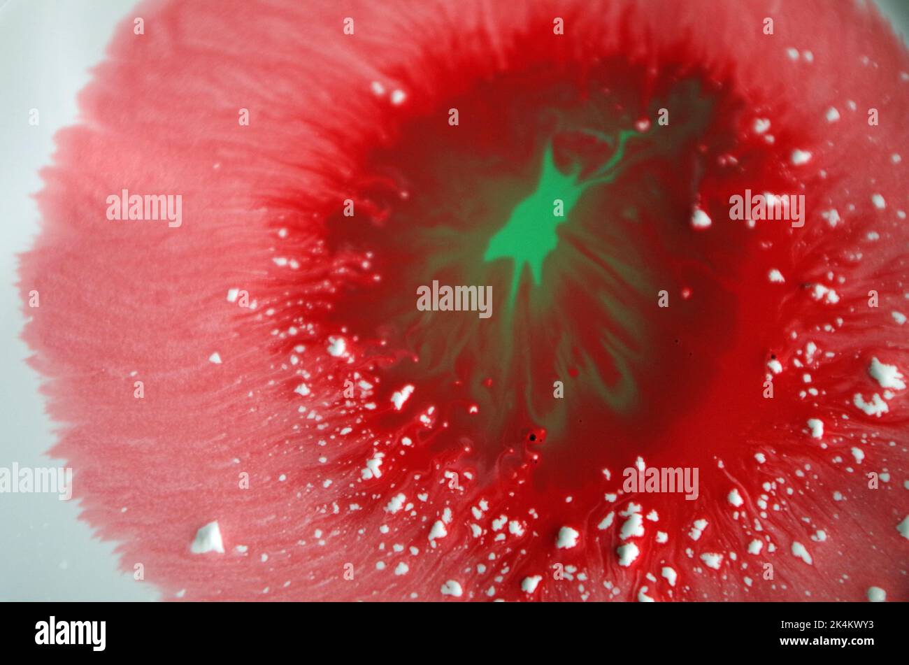 Red colors in Acryl Stock Photo - Alamy