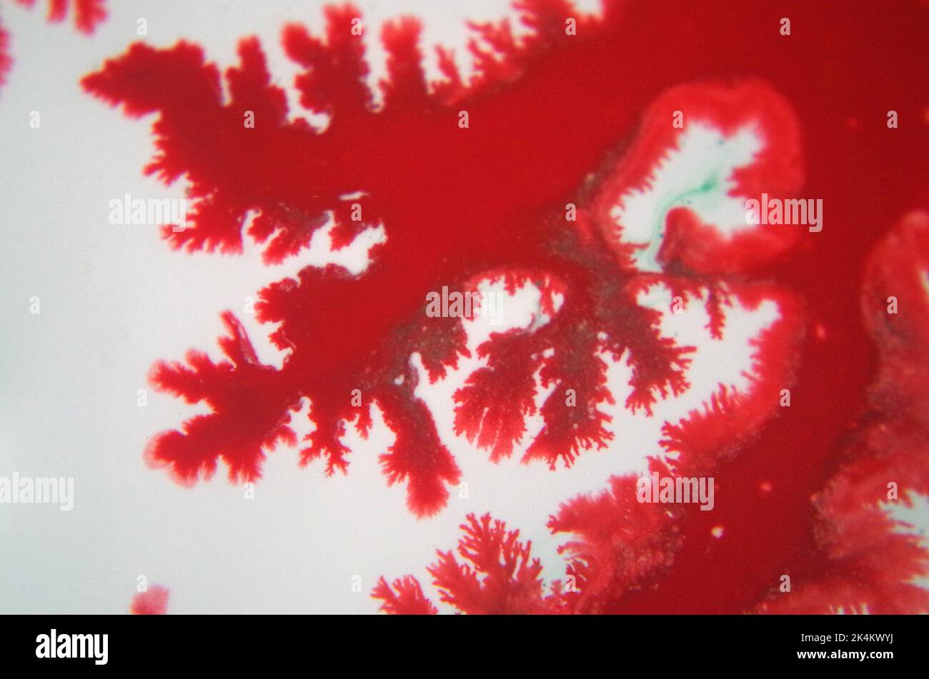Red colors in Acryl Stock Photo - Alamy