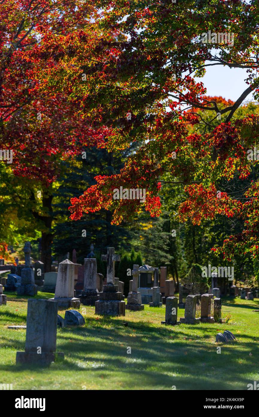 Beechwood Cemetery, National Cemetery of Canada during the fall season ...