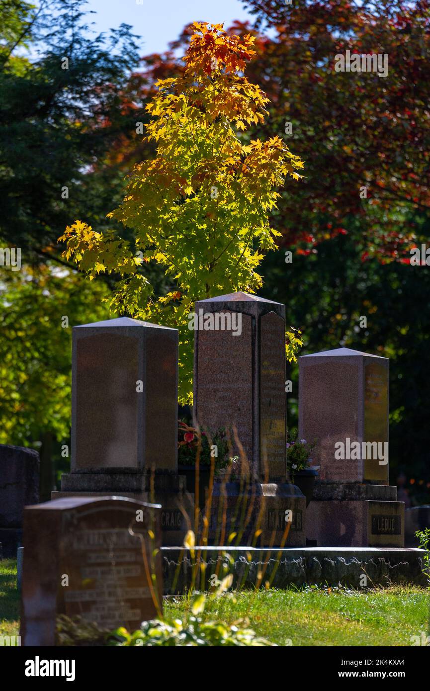 Beechwood Cemetery, National Cemetery of Canada during the fall season ...