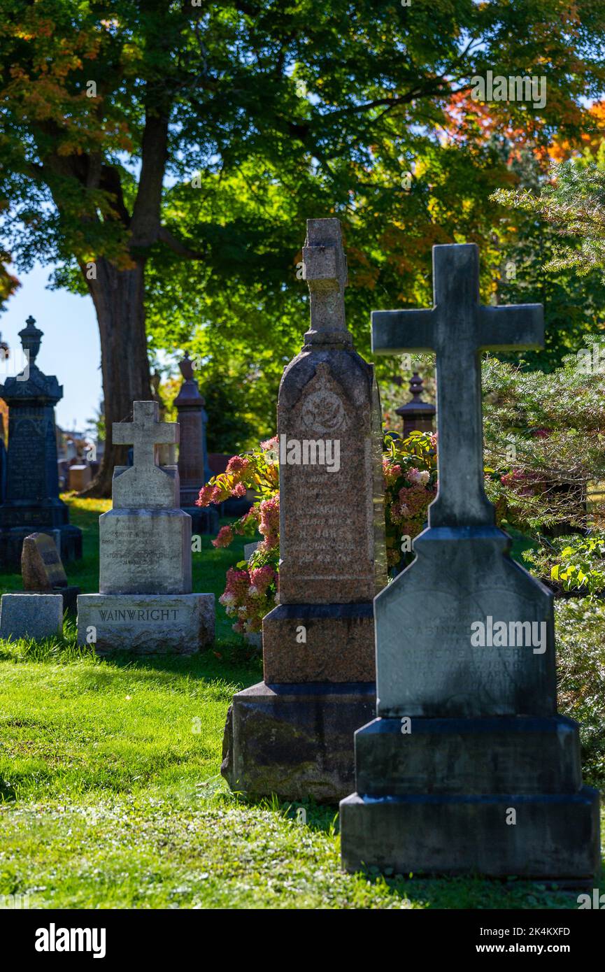 Beechwood Cemetery, National Cemetery of Canada during the fall season ...