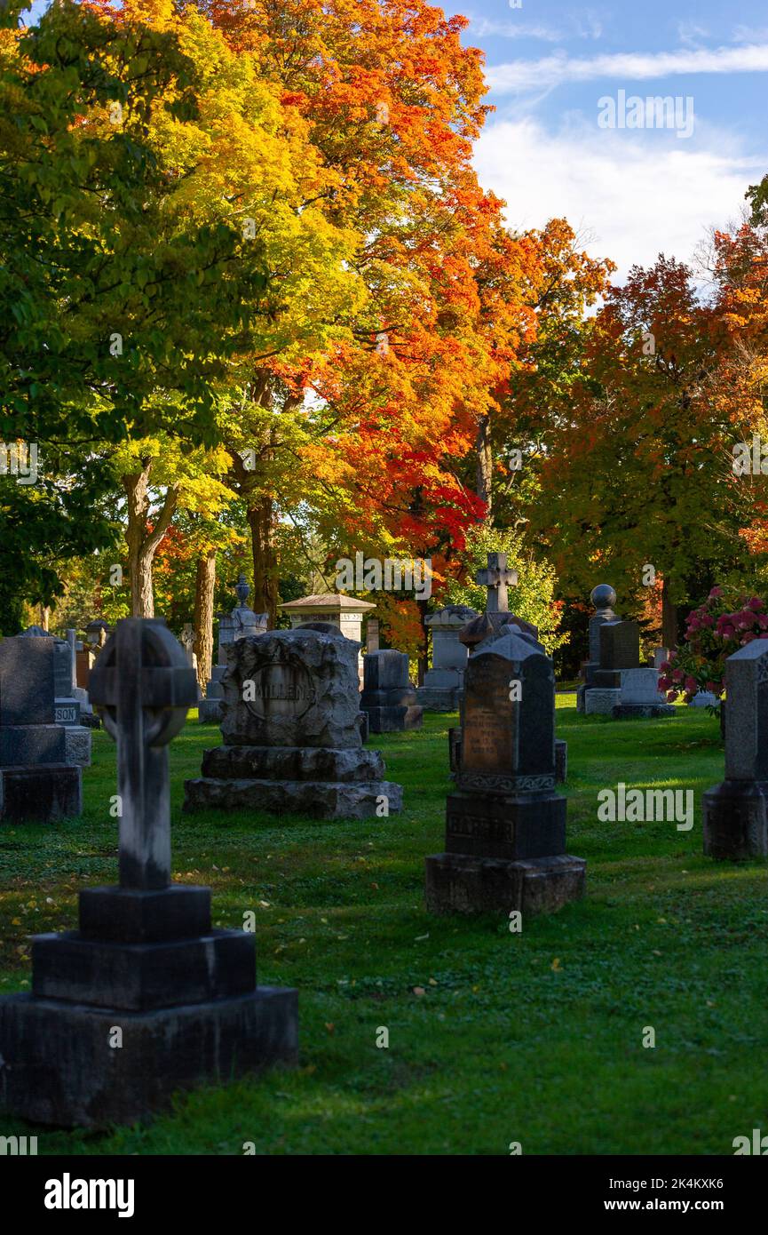 Beechwood Cemetery, National Cemetery of Canada during the fall season ...