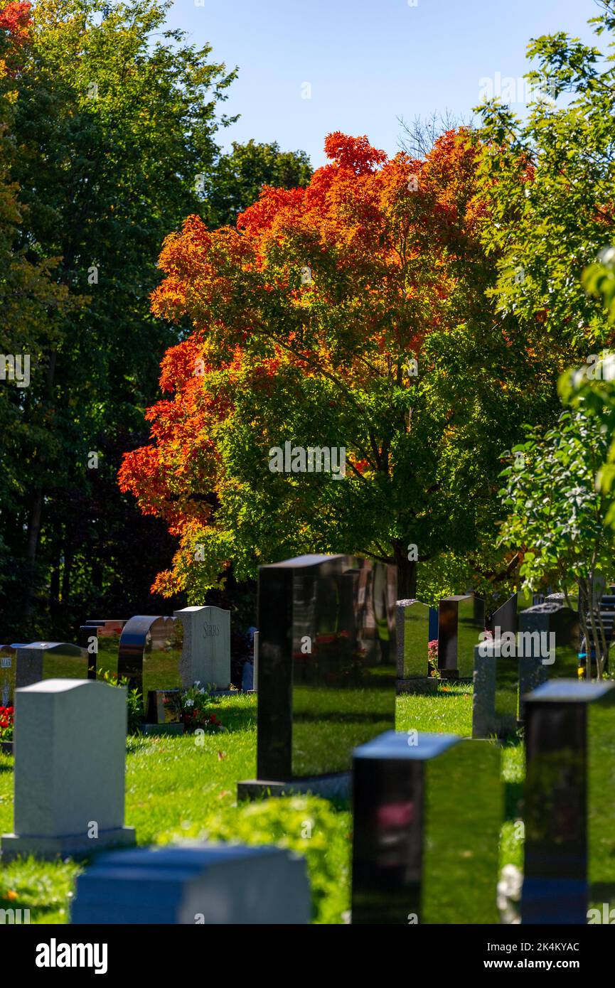Royal canadian mounted police national memorial cemetery hi-res stock ...