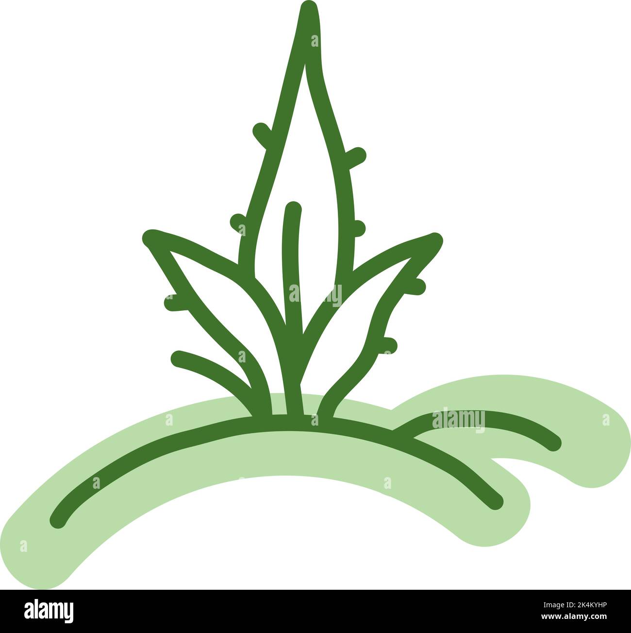 Black succulent, illustration, vector on a white background Stock ...