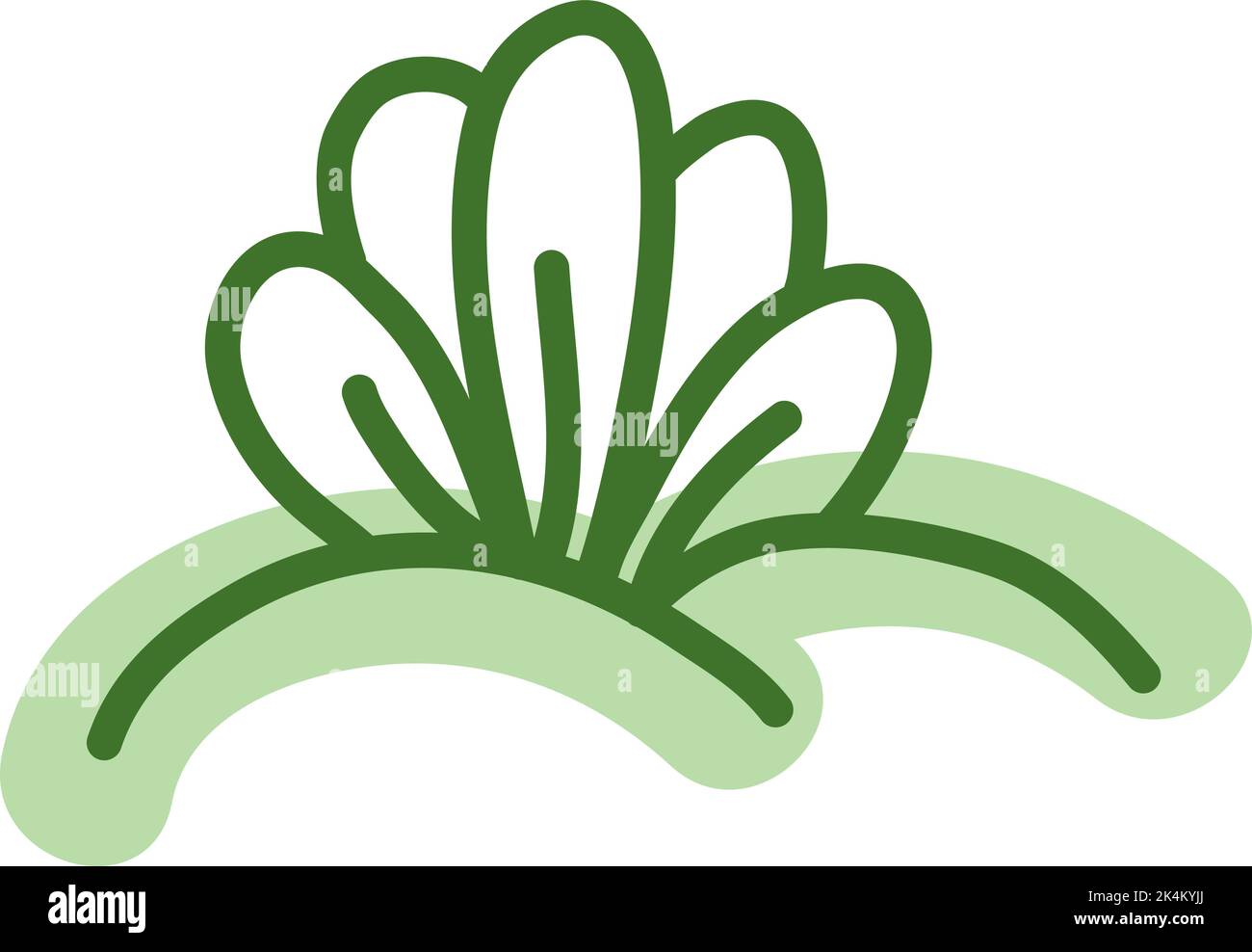 Echeveria elegans illustration hi-res stock photography and images - Alamy