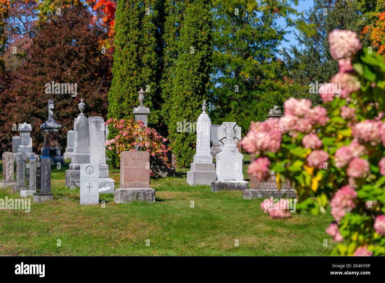 Beechwood Cemetery, National Cemetery of Canada during the fall season ...