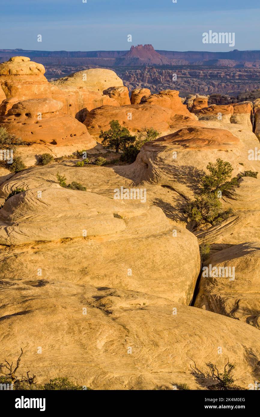Cedar Mesa sandstone rock formations in Chesler Park in the Needles ...