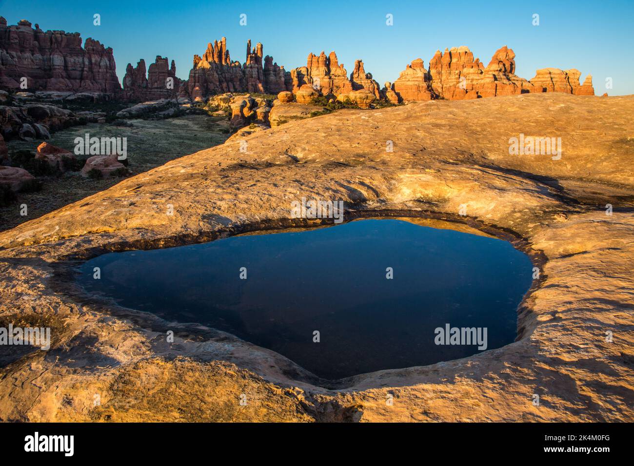 A rainwater pothole in Cedar Mesa sandstone rock formations, Devil's ...