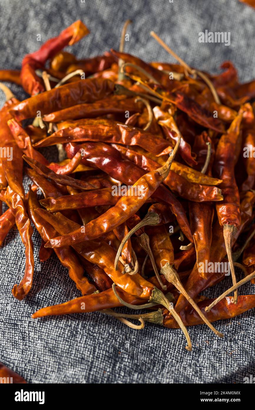 Dry Red Organic Chile De Arbol Peppers in a Bunch Stock Photo - Alamy