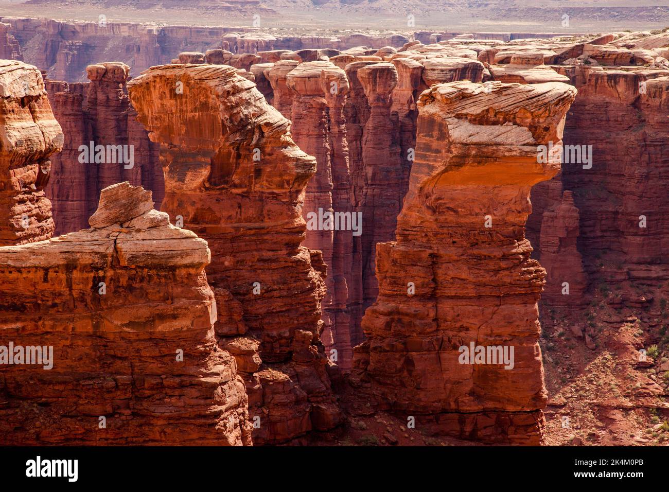 Organ Rock shale hoodoos with White Rim sandstone caps in Monument ...