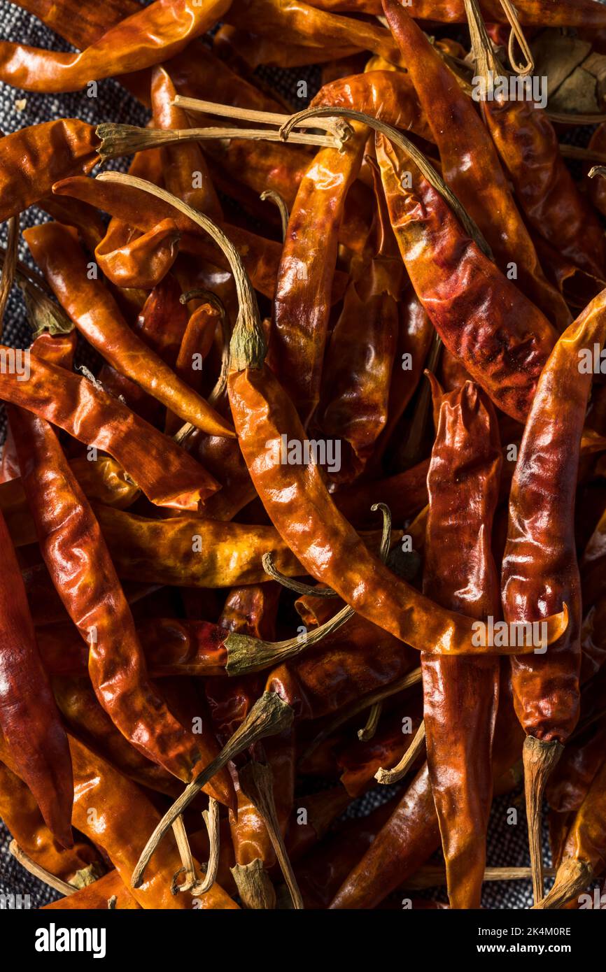 Dry Red Organic Chile De Arbol Peppers in a Bunch Stock Photo - Alamy
