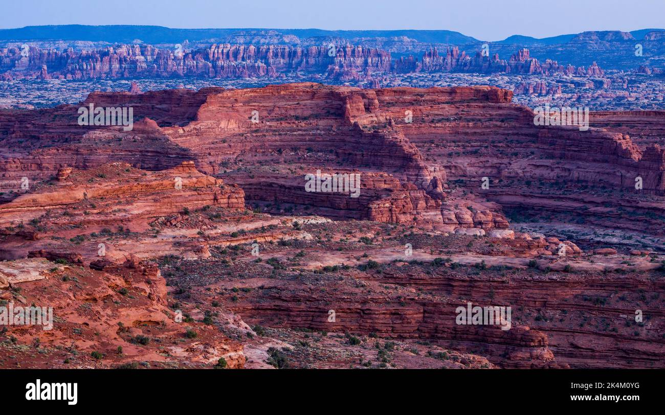 Post-sunset light in the remote White Crack area of the White Rim in ...