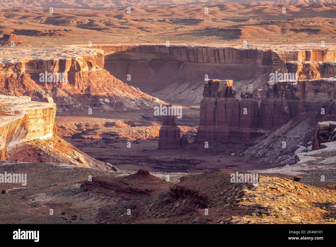 Organ Rock shale towers capped with White Rim sandstone below the White ...