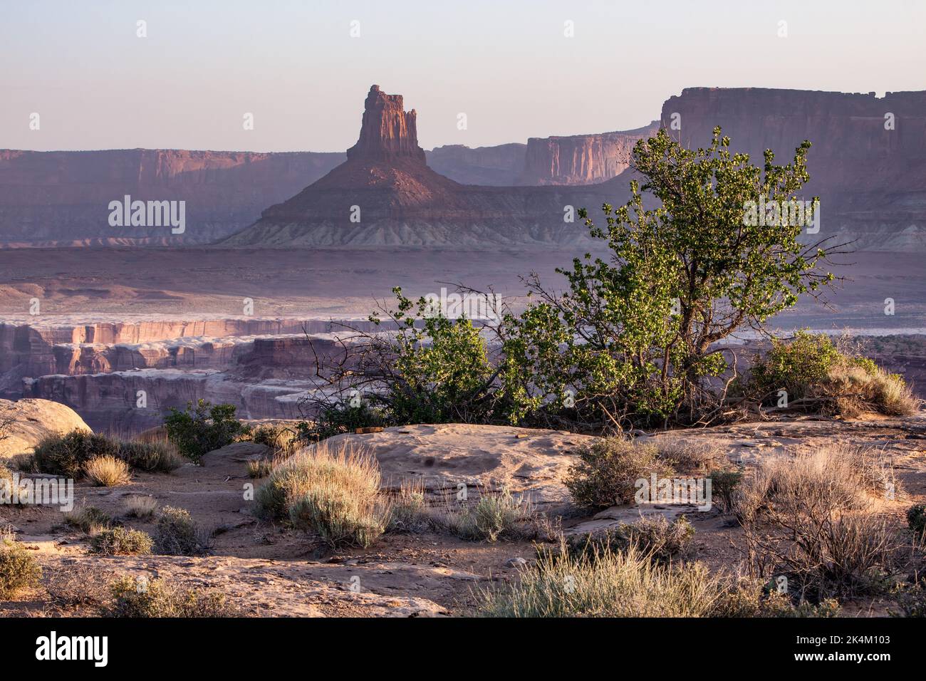 The Candlestick Tower, a Wingate sandstone monolith on the White Rim in ...